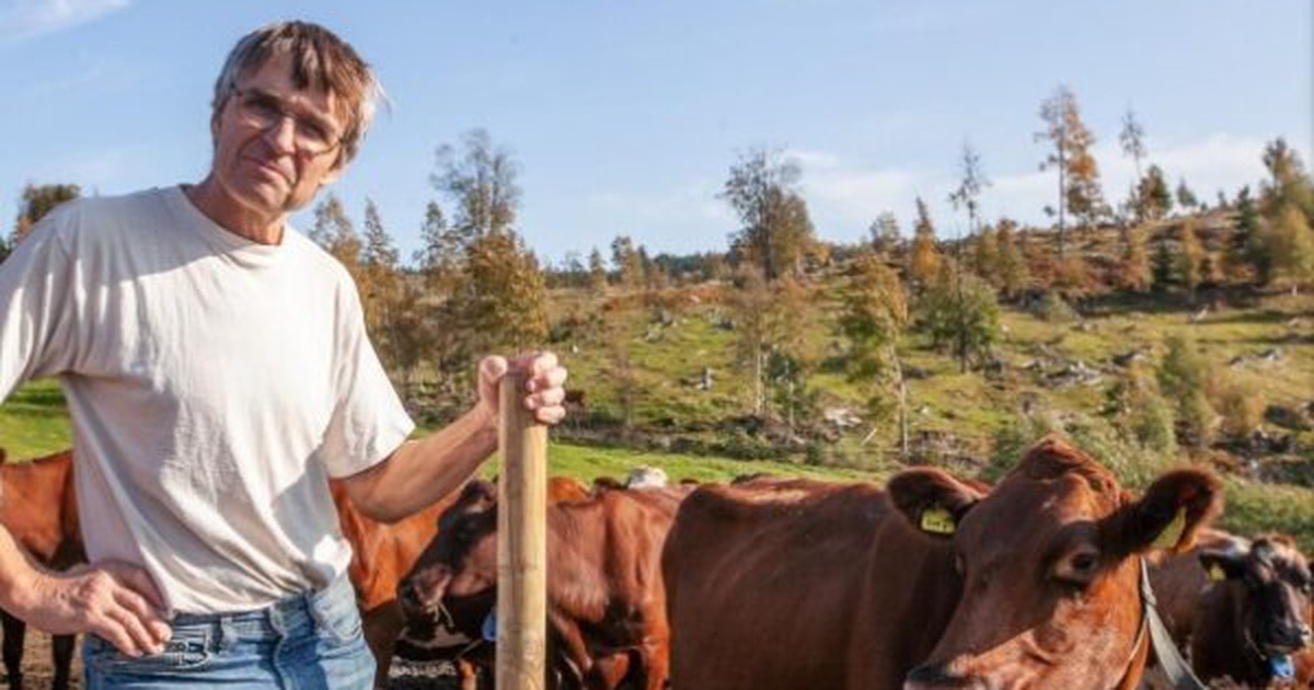 Peter Edholm i Nordingrå
